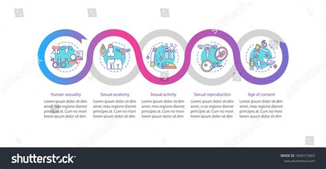 Human Sexuality Vector Infographic Template Healthy Stock Vector