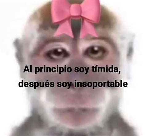 Instagram Photo By Si Soy We 🤡 • Apr 23 2025 At 227 Pm