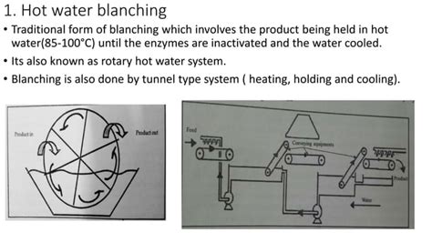 Primary And Minimal Processing Of Fruits And Vegetables Pptx Home
