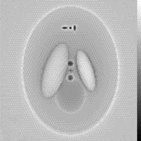 The Potential And Components Of The Solenoidal Vector Field Download