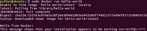 docker的安装与使用（超详细版本） docker容器安装与使用 csdn博客