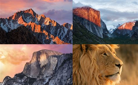 App Store For Mac Snow Leopard