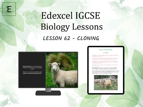 Edexcel Igcse Biology Lesson 62 Cloning Teaching Resources