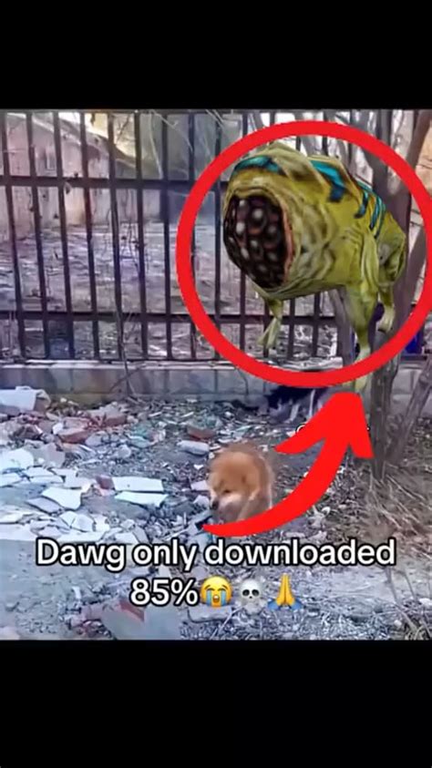 Zawg Has Not Downloaded Properly 😭 Rokbuddyhalflife