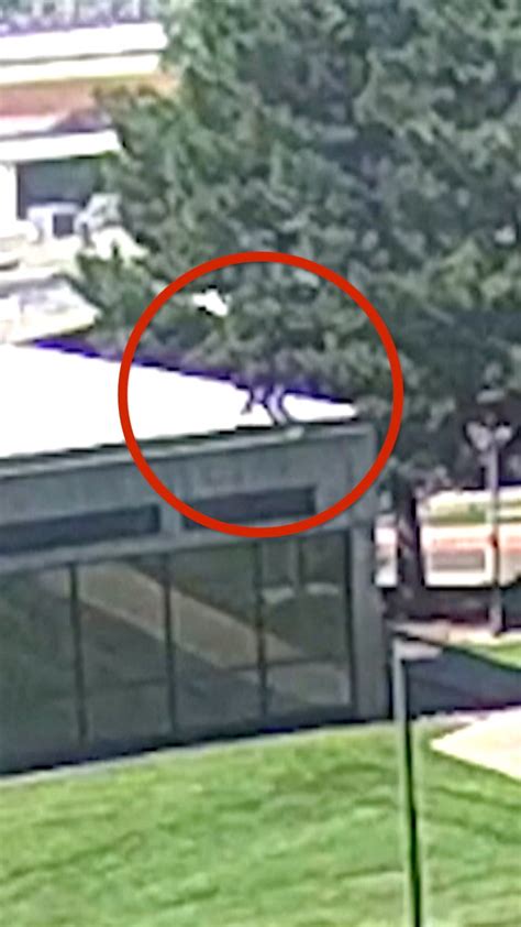 Fbi Frigir Video