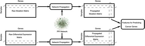 The Workflow Of The Proposed Algorithmic Pipeline That Integrates