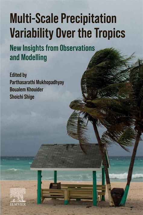 Multi Scale Precipitation Variability Over The Tropics New Insights From Observations And