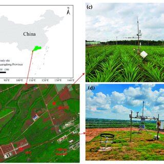 The Layout And Field Photos Of The Experiment A Study Site B Download Scientific Diagram