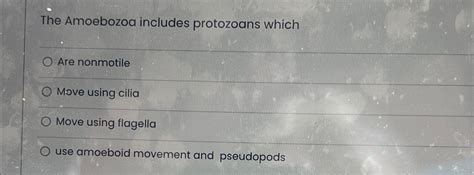 Solved The Amoebozoa Includes Protozoans Whichare