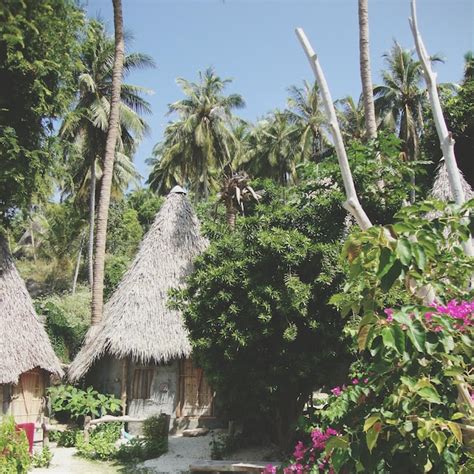 Premium Photo Huts Amidst Tree