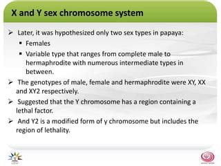 Sex Determination In Papaya PPTX Reproductive Health Diseases And Conditions