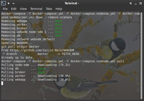 How To Know ODM Version With Docker And Change To Previous NodeODM GPU