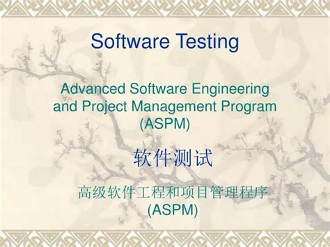 PPT Software Testing PowerPoint Presentation Free Download ID 3956507