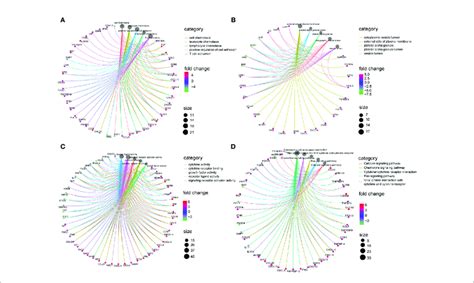 Enrichment Analysis Of De Irgs A Visualization Of Top 5 Enriched