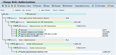Role Adjustments For Technical Sap Users How To Handle Sap