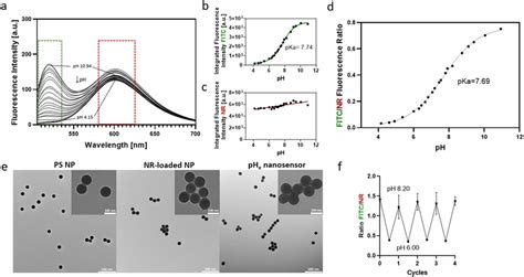 Characterization Of The Phe Nanosensor A Fluorescence Spectra Of The