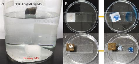 Self Cleaning Performance Of Pfdtesmcsms Digital Diagrams Of Primary Download Scientific