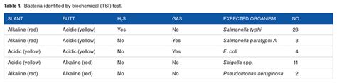 Bacteria Identified By Biochemical Tsi Test Download Scientific