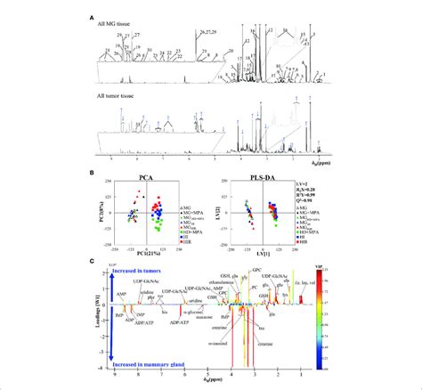 Average 1 H Nmr 500 Mhz Spectra Of Aqueous Extracts Pca And Pls Da
