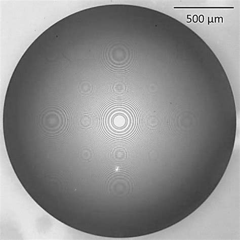 A Optical Microscope Image Of The Entire Mm Device Without Download Scientific Diagram