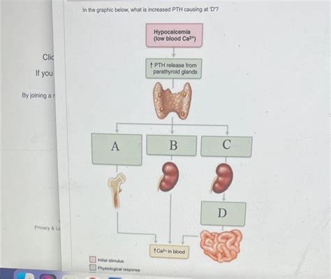 Solved In The Graphic Below What Is Increased Pth Causing