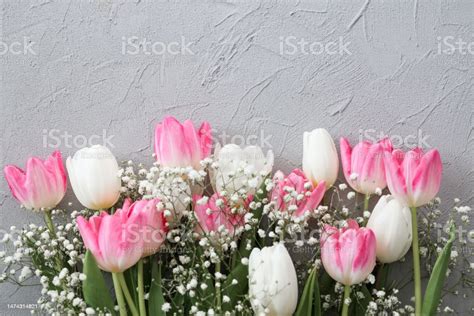 분홍색 튤립과 흰색 Gypsophila 꽃 꽃다발은 세련된 회색 돌 배경에 있습니다 어머니의 날 생일 축하 개념 텍스트 공간을 복사합니다 모형 공휴일에 대한 스톡 사진 및