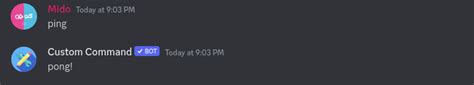 Ping Command Custom Command