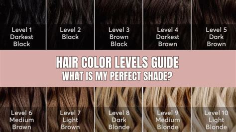 Hair Color Levels Guide What Is My Perfect Shade Vin Hair