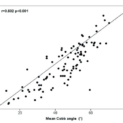 Computer Assisted Cobb Angle Measurement On Lateral Radiographs Using