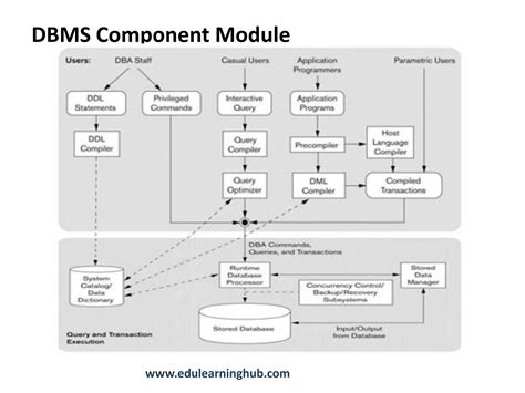 Important Questions Of Data Base Management System Mgu Ppt