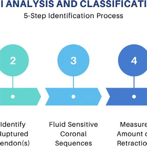 Magnetic Resonance Imaging Review Steps By Which To Identify A Proximal Download Scientific