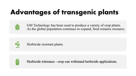Transgenic Crops Ppt