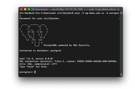 Database Access