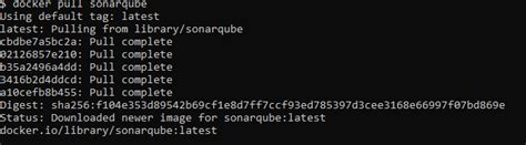 sonarqube en docker telodijoelbuga
