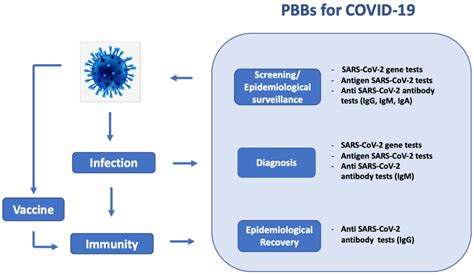 Biosensors Free Full Text Paper Based Biosensors Frontiers In Point Of Care Detection Of