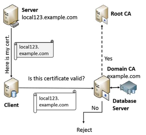 Process Of Certificate Verification From 15 Download Scientific