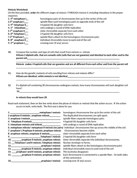 Meiosis Worksheet Key Cheat Sheet Biology Docsity