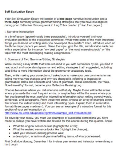 7 Self Evaluation Essay Examples To Download 7 Self Evaluation Essay Examples To Download