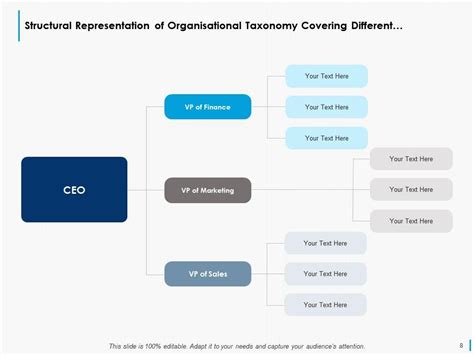 Taxonomy Support And Operation Marketing Development Finance Analysing Evaluating Presentation