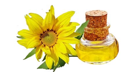 По евтин зехтин в Гърция по Коледа