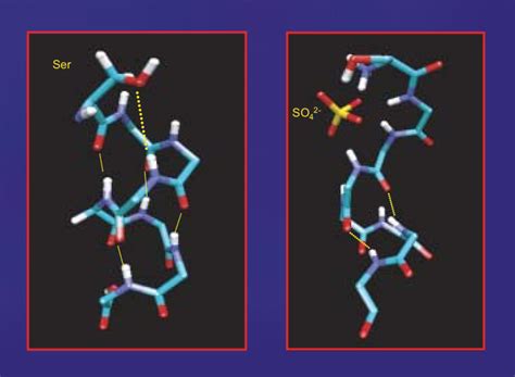 Docking Experiments With The Purine Nucleoside Phosphorylase Pnp