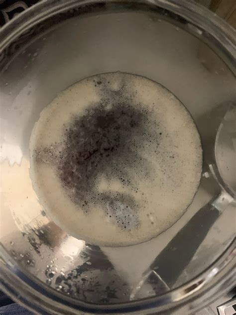 How Is My Fermentation Process Looking Like Rkvass