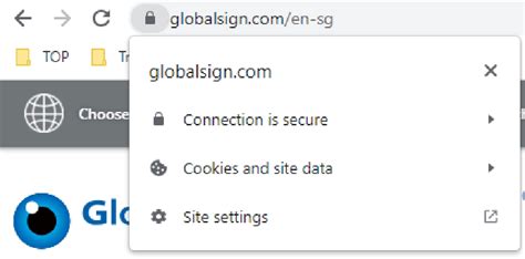 Everything You Need To Know About SSL TLS Certificate