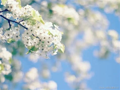 【c】类的隐式类型转换c 隐式转换 Csdn博客