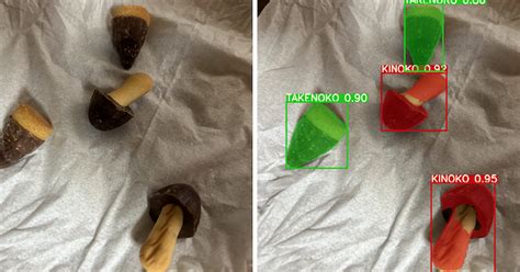 B Yolov8 Instance Segmentation 「きのこの山」に潜伏する「たけのこの里」を機械学習で見つけてみました