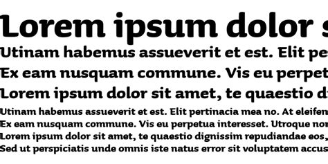 Sauna Swash Bold Download For Free View Sample Text Rating And More On Fontsgeek Com