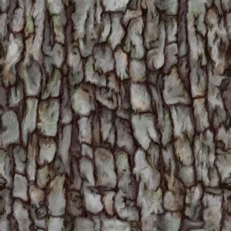 Tree Bark Texture Drawing At Explore Collection Of