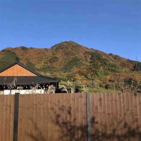 단풍 여행을 위한 숙소 추천 단풍 놀이 감성 숙소 5유포리 나의집 스테이보다 서림연가 스테이사계 소양고택 얼루어