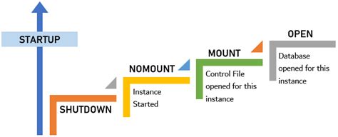 a brief overview of oracle database startup and shutdown