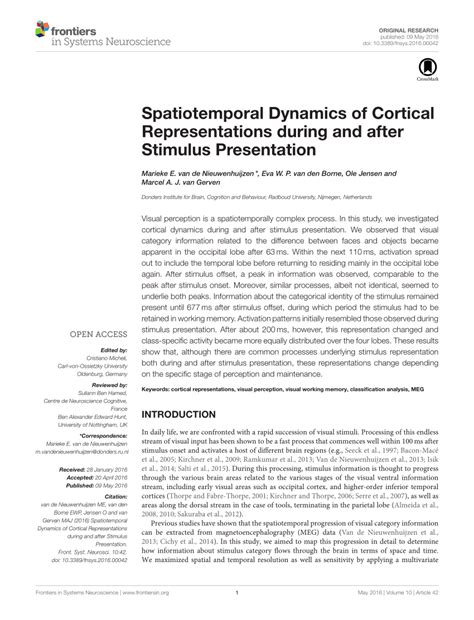 Pdf Spatiotemporal Dynamics Of Cortical Representations During And After Stimulus Presentation